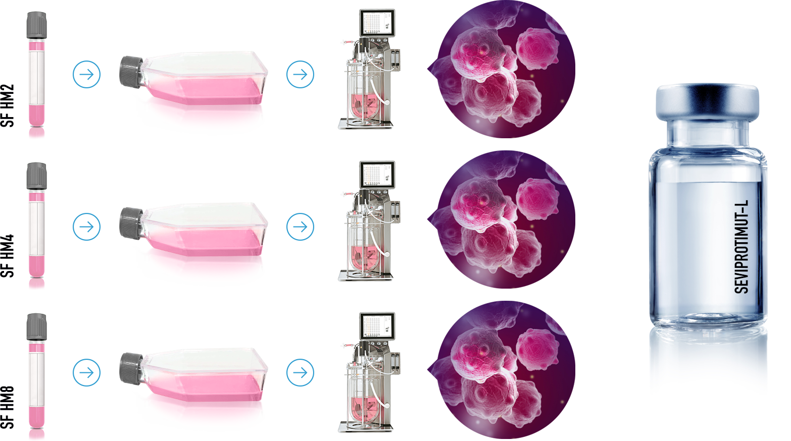 Technology - Polynoma