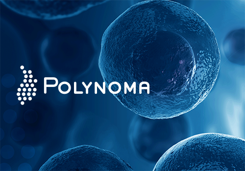 Company Policies - Polynoma